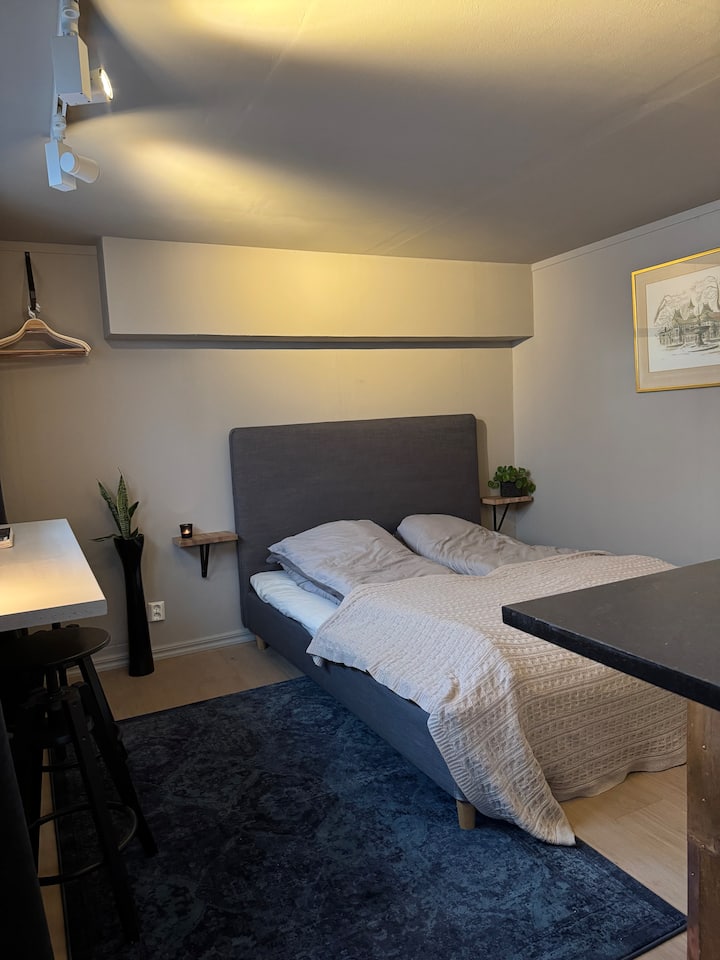 Scandinavian Studio In Uppsala - Uppsala