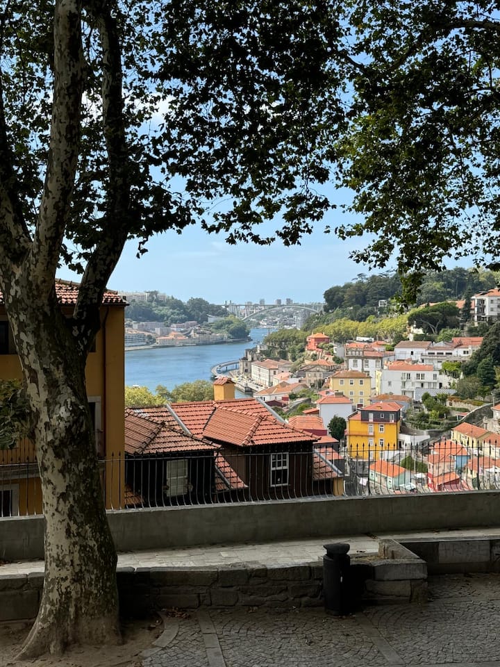 Alojamento Local Porto - Porto