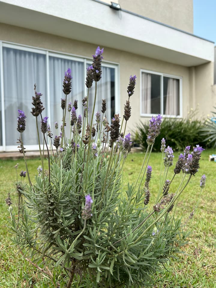 Refúgio Urbano 
Perto Shopping/aeroporto/argentina - Foz do Iguaçu