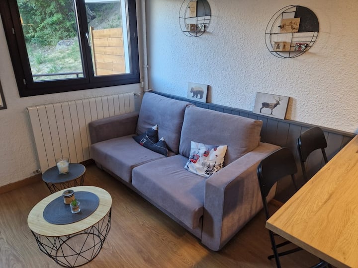 Studio Pied Des Pistes - Barcelonnette