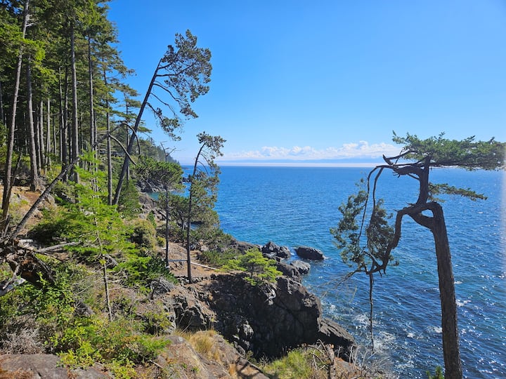 Cliffside Hideaway: Gorgeous Views Over The Ocean - Vancouver Island