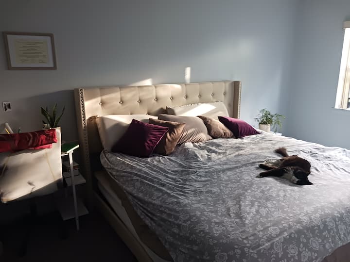 Comfy And Spacious King Bedroom W Private Bathroom - 皇后區