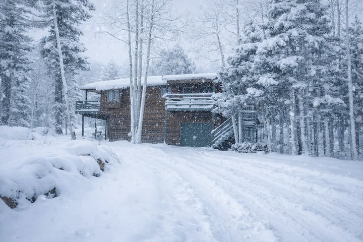 Mountain Cabin 3 Miles From Lifts | Pet Friendly! - Angel Fire, NM