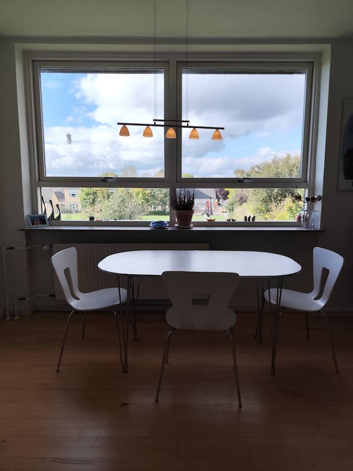 Sunny Appartement. - Odense