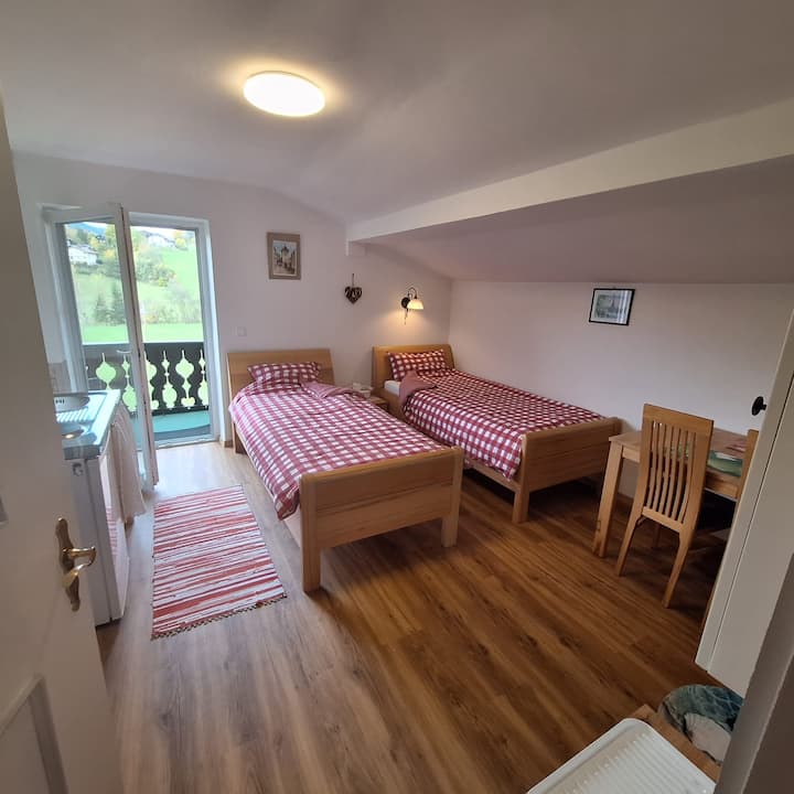 Kleines Feines Apartment - Dorfgastein