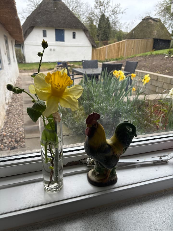 Hjule Huset - Løjt Land
Forårs Stemning - Aabenraa