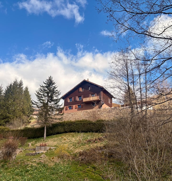 Chalet La Bresse – Spa, Sauna & Cheminée – 14p - Gérardmer