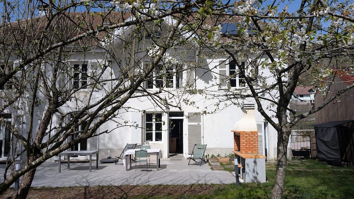 Demeure De Famille 4*- Sauna, Jardin, Cheminée-14p - La Bresse