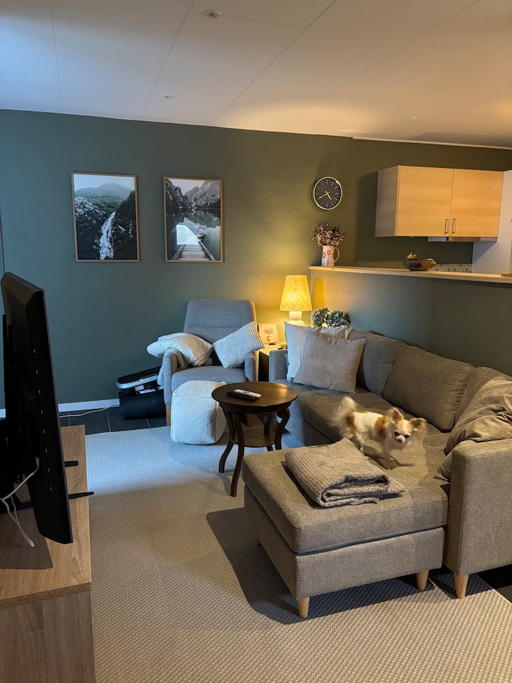 Hyggelig Lille Lejlighed Tæt På Strand Og By. - Hirtshals