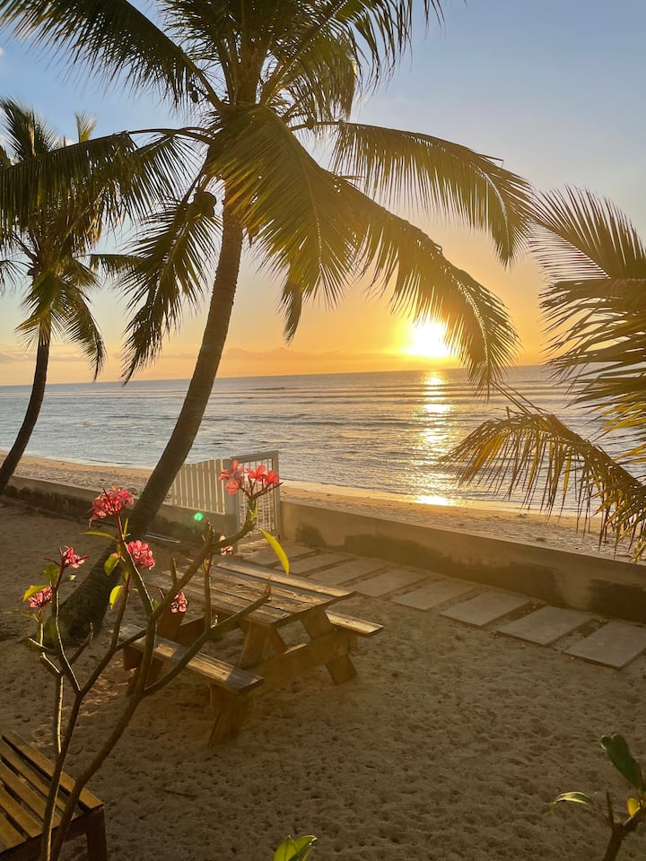 Petite Tortue - Saint-Gilles les Bains