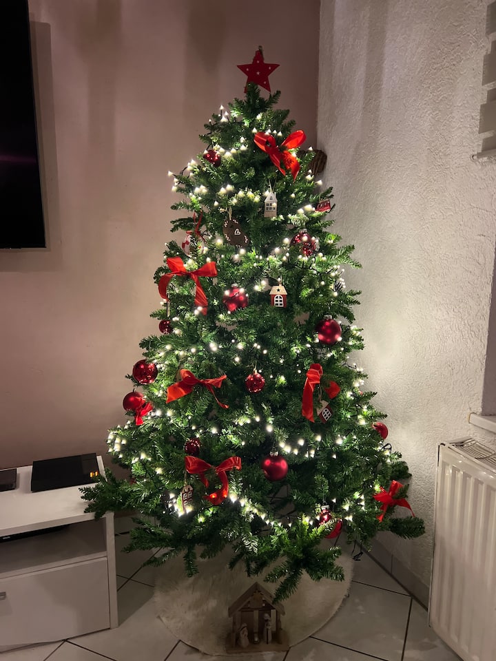 Maison Alsacienne Proche Europa Park - Elsenheim