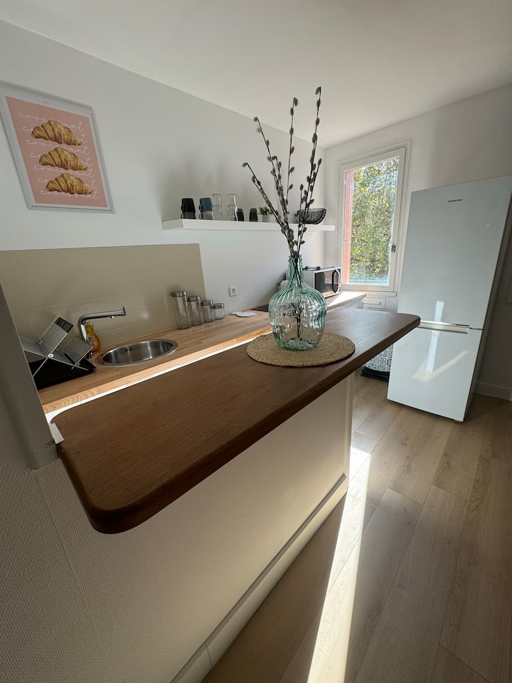 Studio La Timone Confort/netflix/apple Tv - Marseille