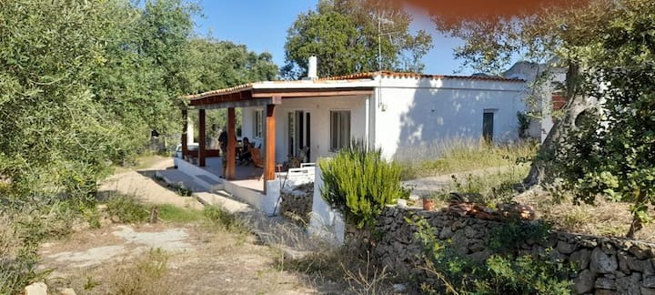 Casa Brionis Alghero - Alghero