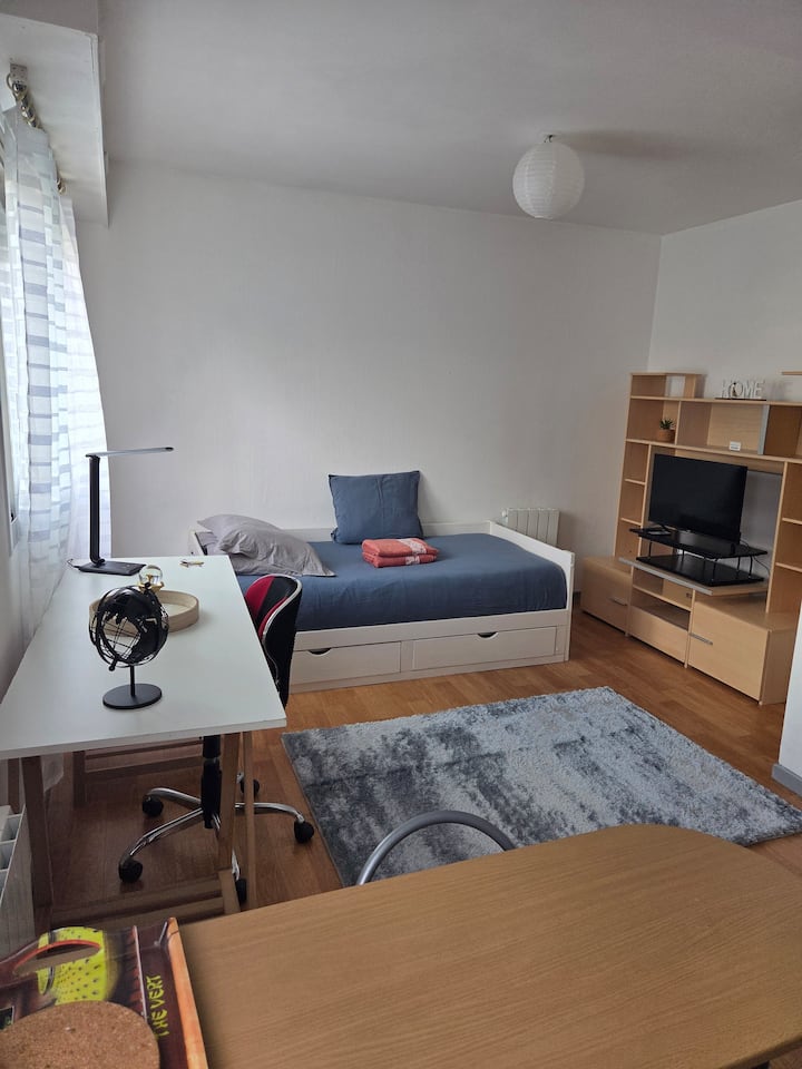 Studio Tout éQuipé En Centre-ville - Pau