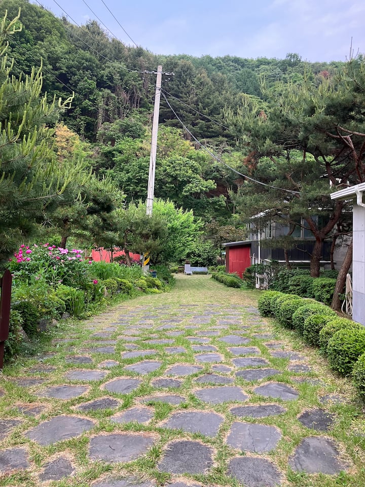 숲속의 살룻 게스트하우스 독채 소나무집 - 남면
