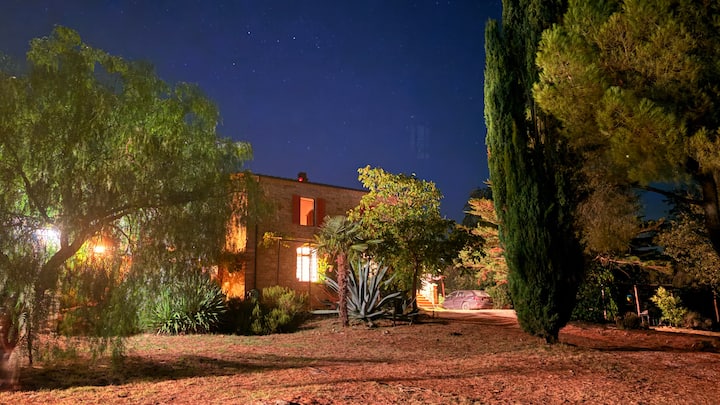 Podere San Giuseppe - Castagneto Carducci