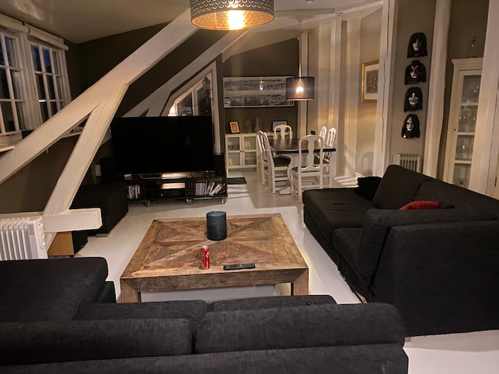 Stor Loftleilighet Med Terrasse I Vika. - 오슬로