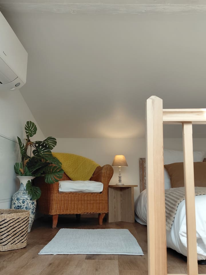 Sdb Et Wc Privés Chambre D'hôte Chez Véro - Bordeaux