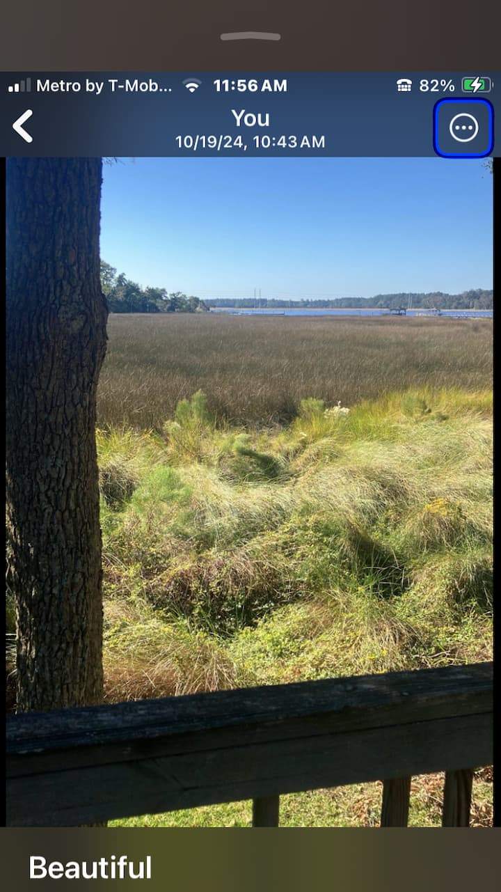 It’s Only A Bed And Brea - Savannah, GA