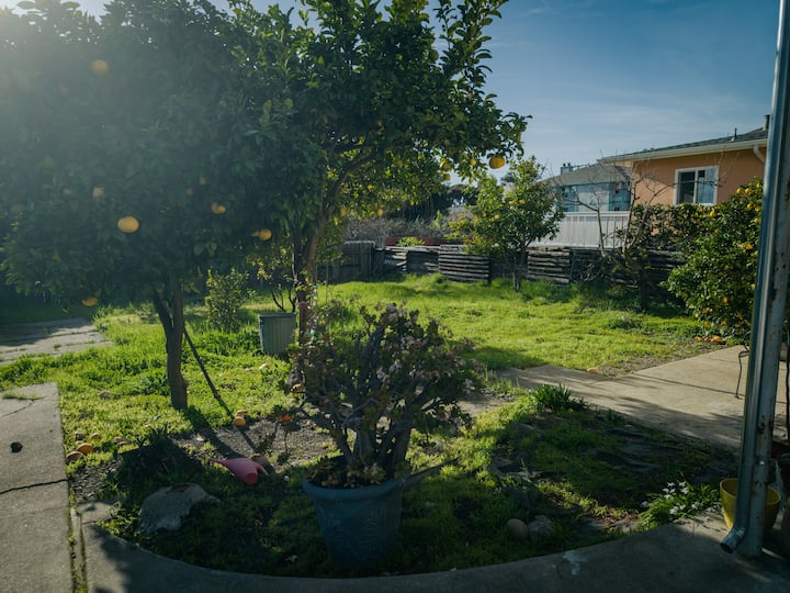El Cerrito House 1st Floor Unit - El Cerrito, CA