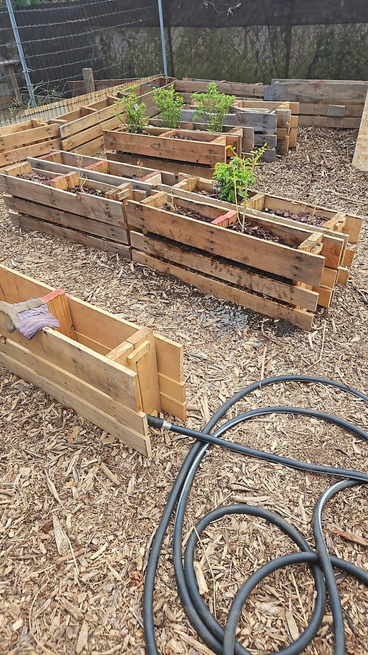 Self-guided Garden Tour Experience - Maui, HI