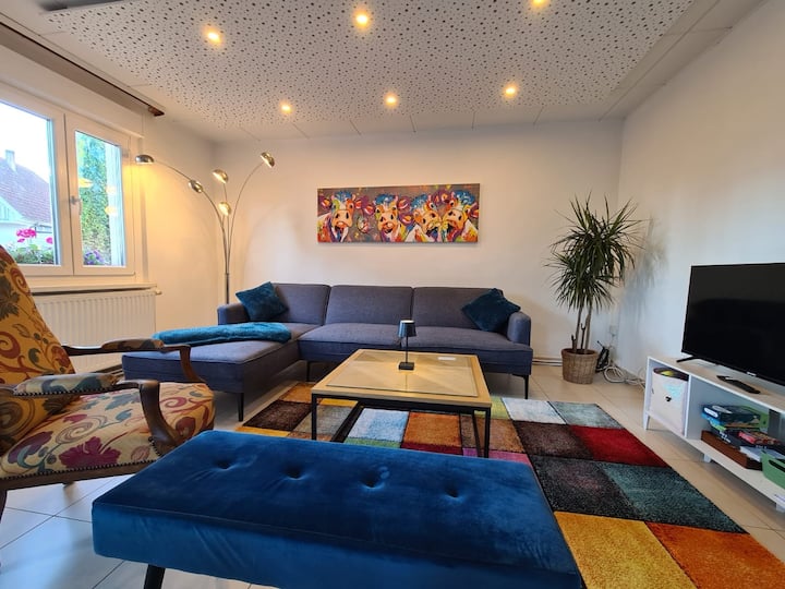 Gîte Centre Alsace Proche Europa Park/ Rulantica - Rust