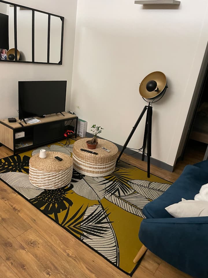 Très Bel Appartement. - Saint-Marcellin