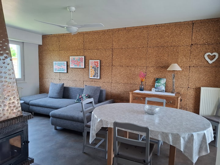 Charmante Maison Familiale - Rixheim