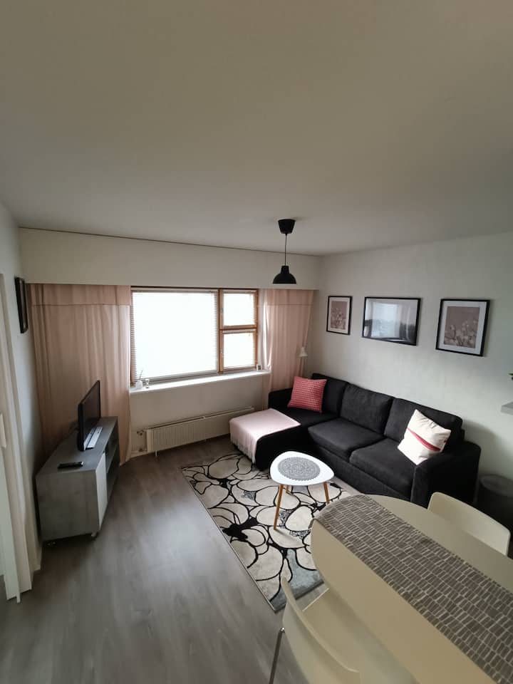 The Nest Of Lapland (Wifi+sauna+freeparking) - Rovaniemi