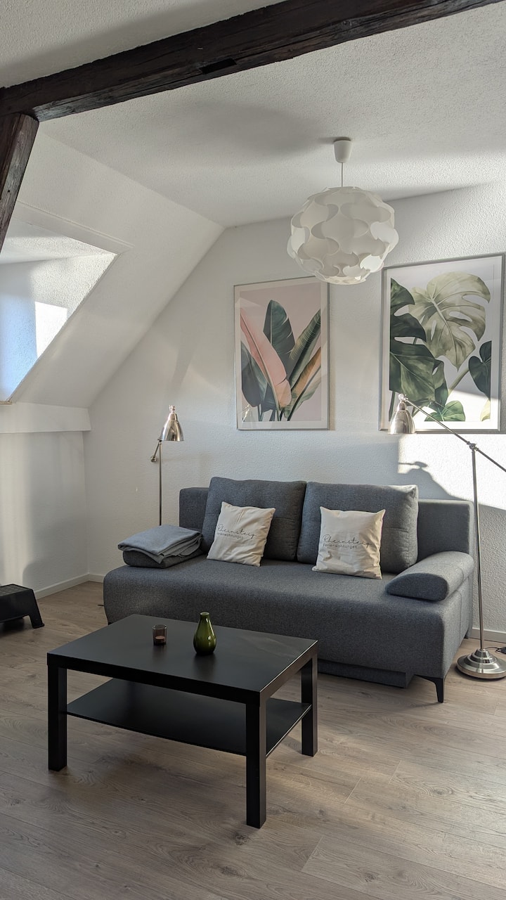 Wohnung 4 Burg Maus - Kaub