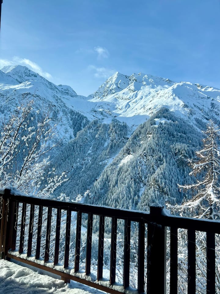 Luxury Ski Chalet, Saintefoy - Sainte-Foy-Tarentaise