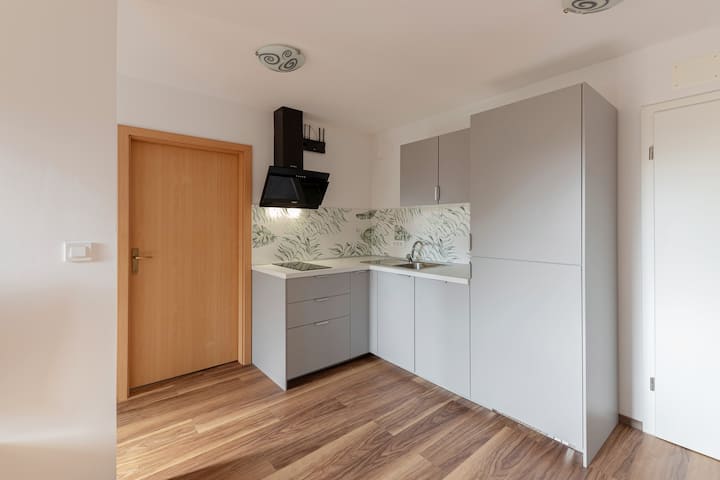 Logar Apartment | Near Nature & Scenic Walks - Kranj