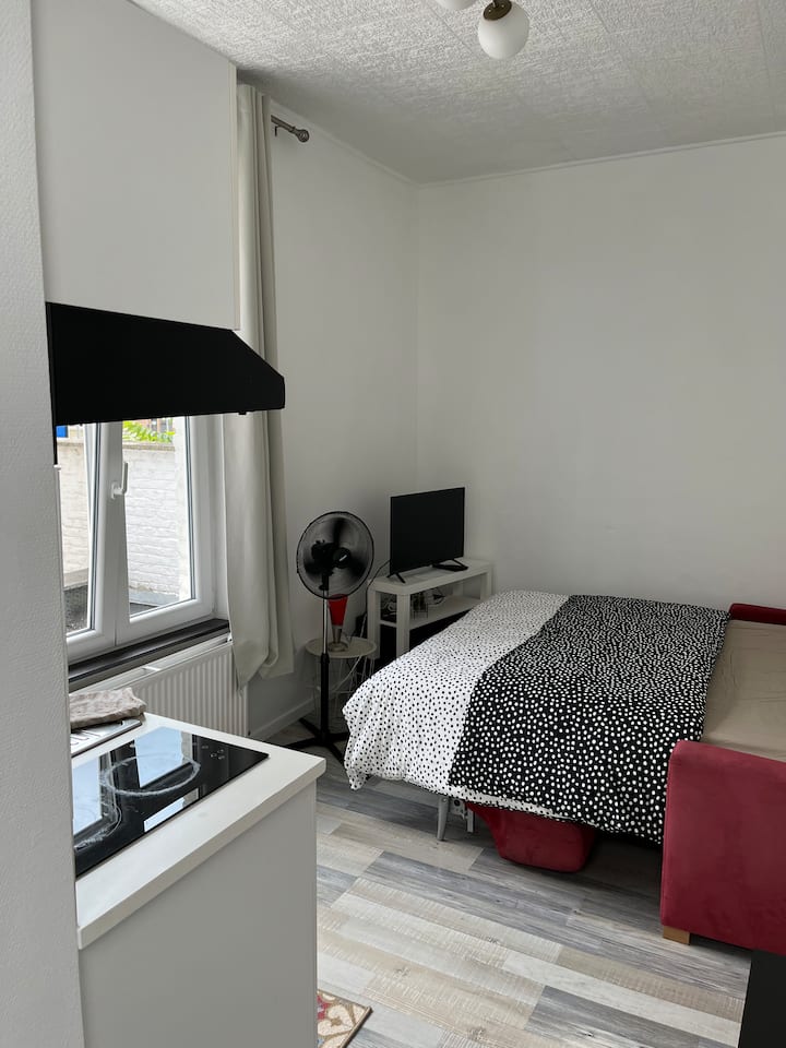 Studio Cosy Et Chaleureux. - Herstal