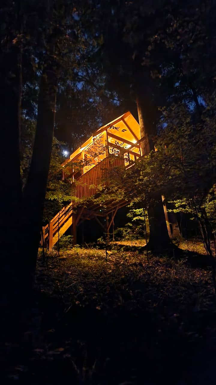 Ocmulgee River Timber Frame Treehouse - Georgia