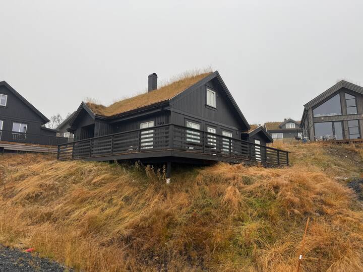 1004 Moh - Ski Inn/out - 4 Rom - Rauland - Rauland