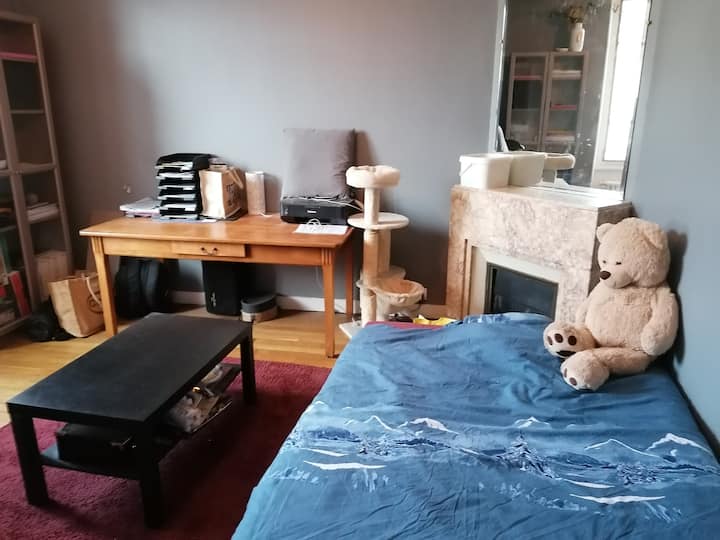 Chambre à Louer Dans Une Maison - Limoges