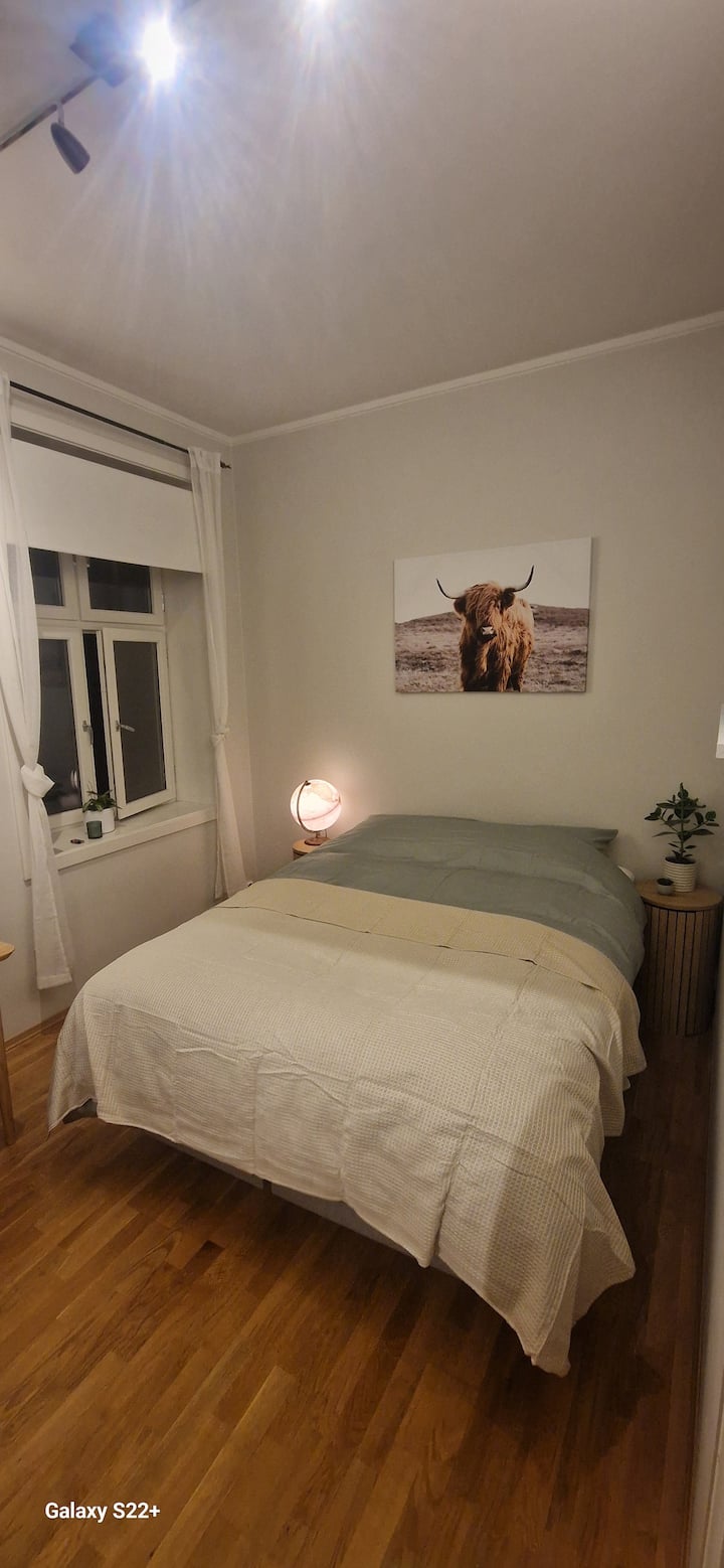 Room In Large Shared Apartment In Oslo - Oslo