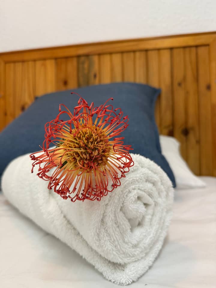 Brown House 4 - Western Cape