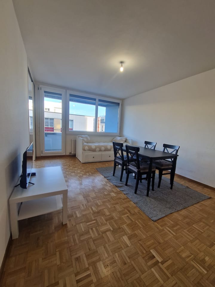 Appartement Près Du Lac Léman - Carouge