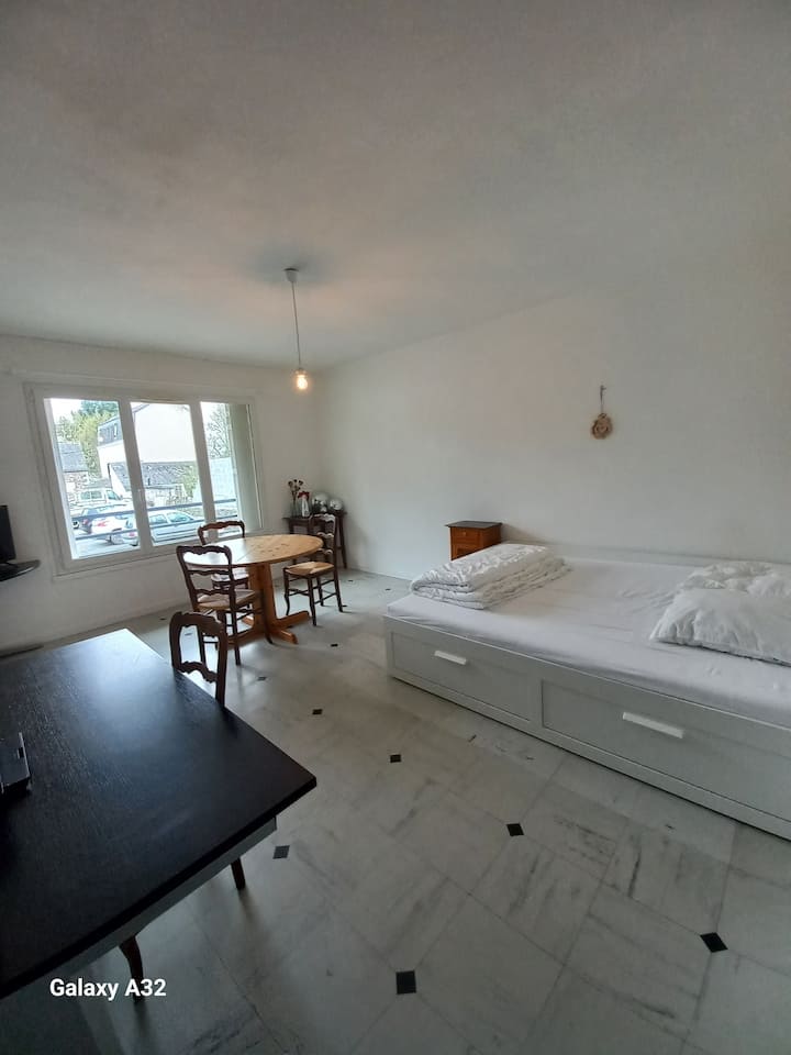 Appartement Angers Confort Et éQuipé - Angers