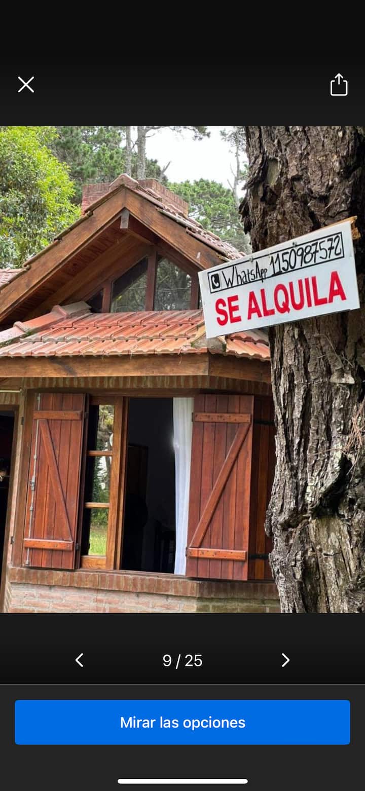 La Mimada - Santa Teresita