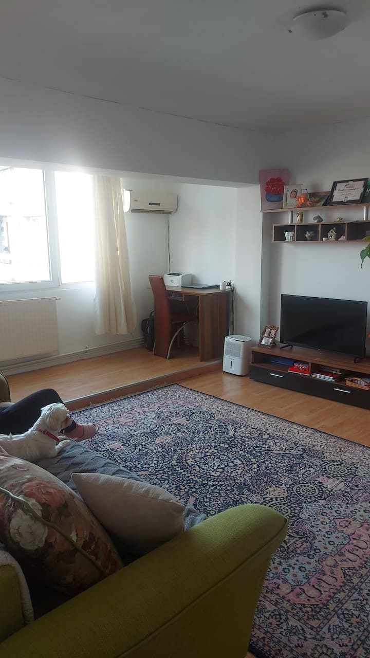 2 Camere Plus Sufragerie - Satu Mare