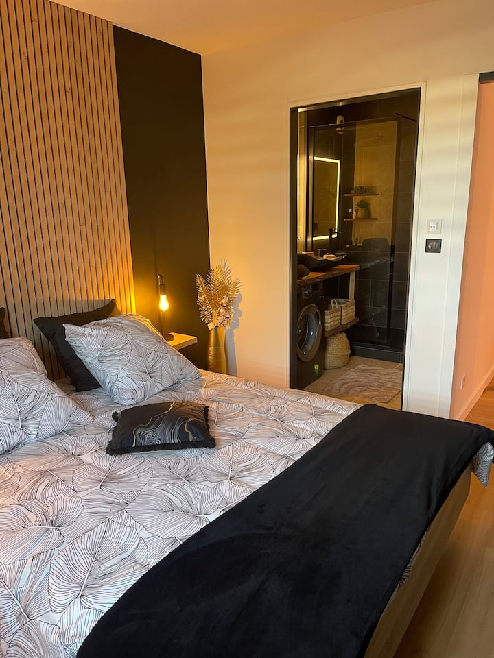 Appartement Luxueux - Agen