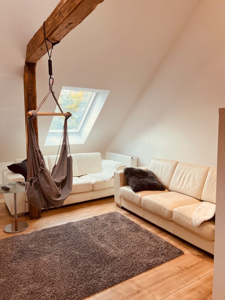 Dg-wohnung Im Jugendstilhaus - Nuremberg