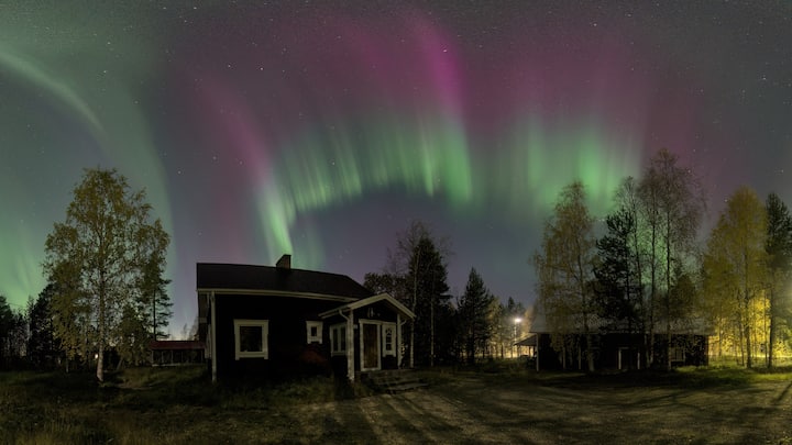 Orava's Nest (Eichhörnchen-nest) - Ivalo