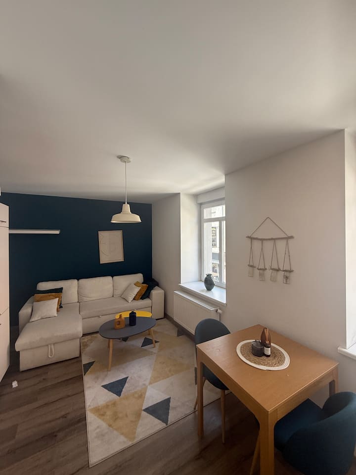 Appartement F2 - Centre Ville - Sarreguemines