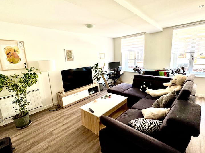 Grand 2 Pièces, Climatisé En Zone Piétonne - Haguenau