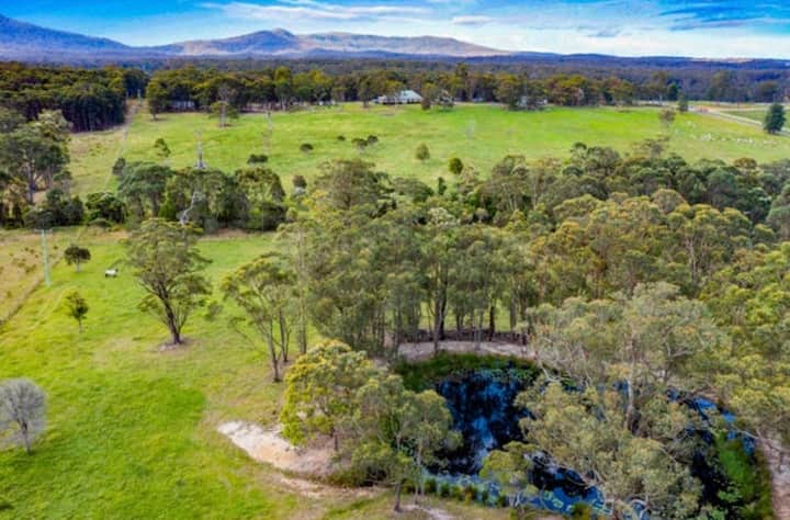 Cooranbong Rural Farm Creekside - 헌터 리젼