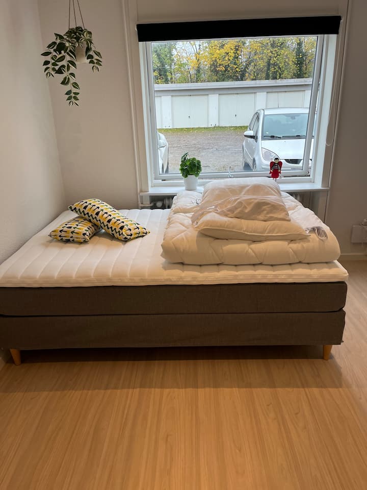 Billund Mini Hostel Room 8 - Billund