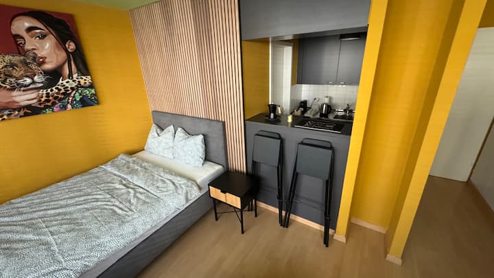 2 Wohnungen Im Selben Haus 12 Gäste Inkl Frühstück - Bern